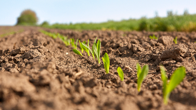 Prepare for 2021 With Our Pre-Planting Checklist | Syngenta US